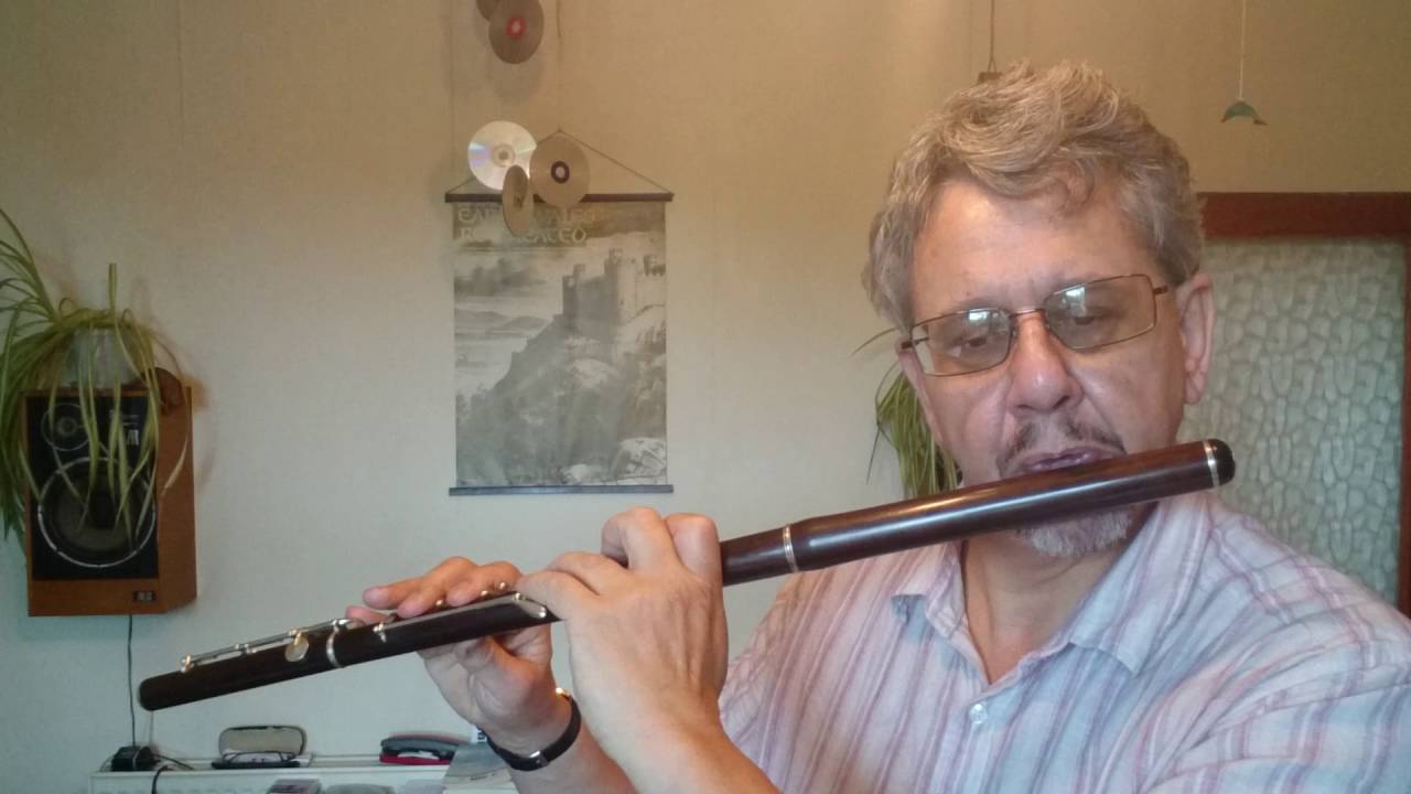 Flute #146 (Tulou Flûte Perfectionnée by F Besson) - Mazurka Besson ...