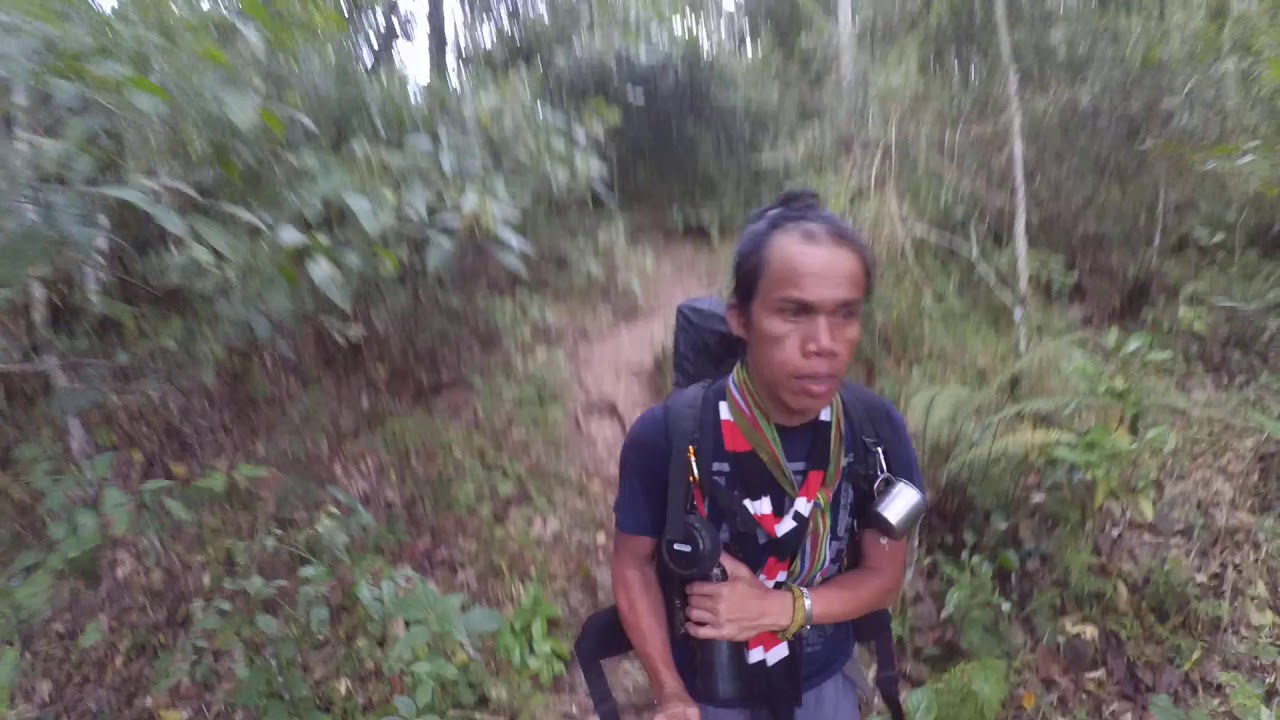 Trekking menembus hutan vegetasi Gn Rinjani Lombok menuju desa Torean ...