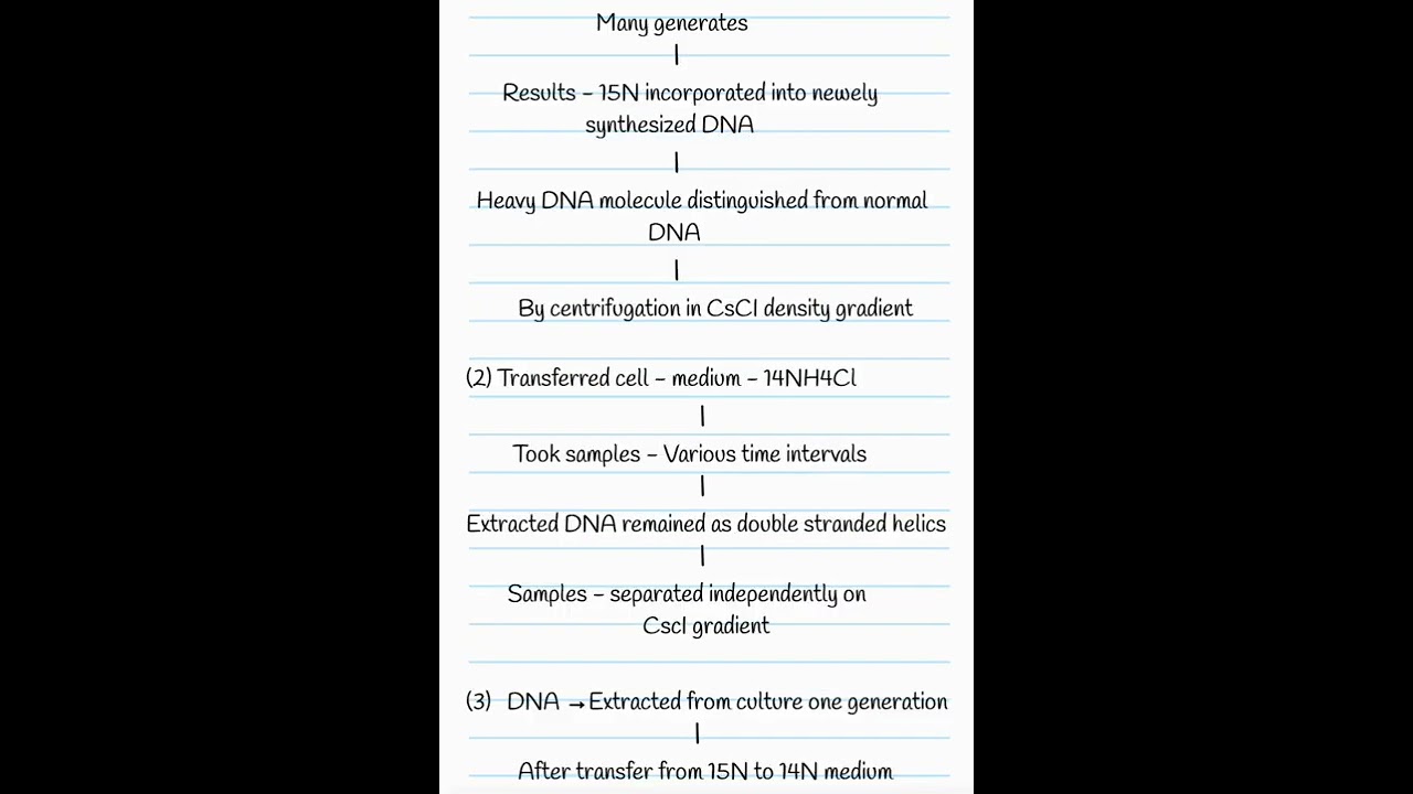 MOLECULAR BASIS OF INHERITANCE Notes Class:12 NEET short Notes #neet # ...