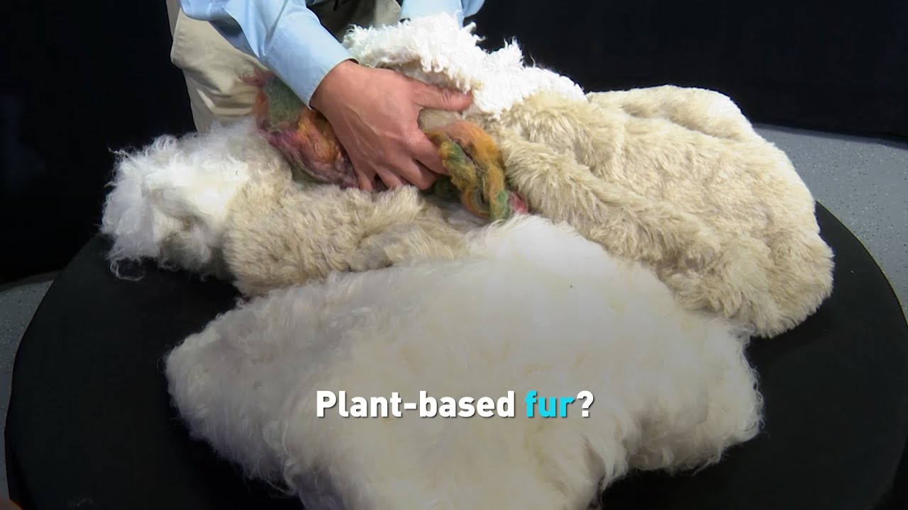 Plant-based fur? - YouTube