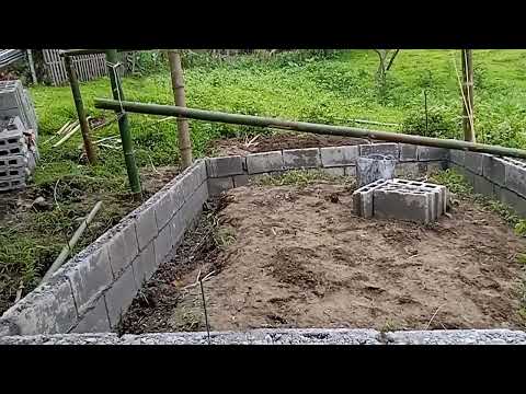 nasimulan na...babuyang walang amoy....