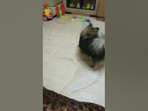Змееловка - YouTube