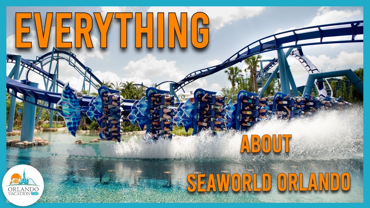 Everything You Should Know About SeaWorld Orlando - YouTube