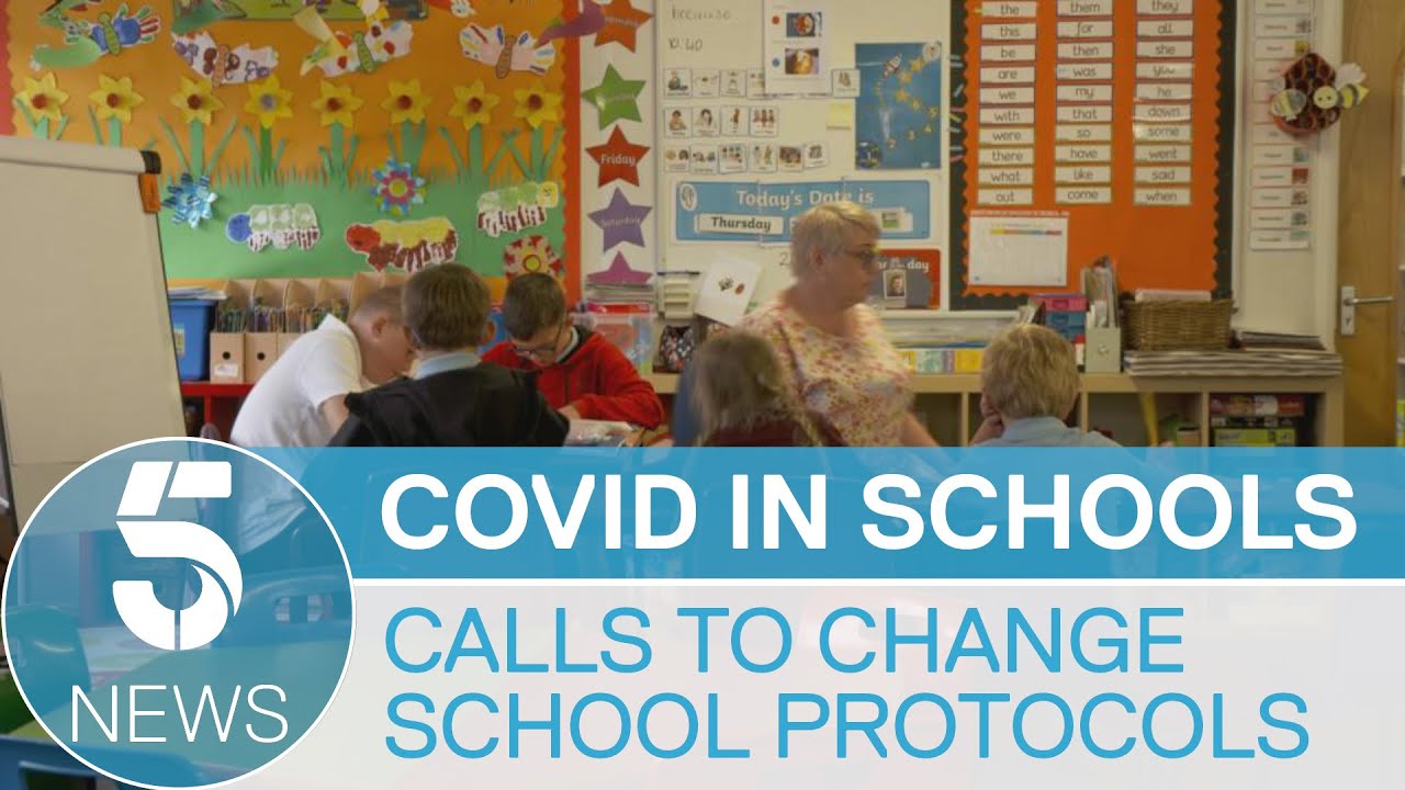 COVID-19: Over 250,000 children off school due to self-isolation | 5 ...