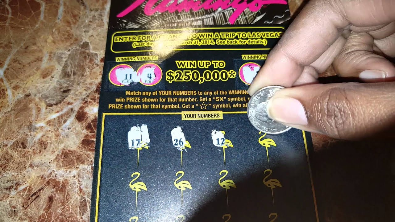 Florida Lottery: Flamingo - YouTube