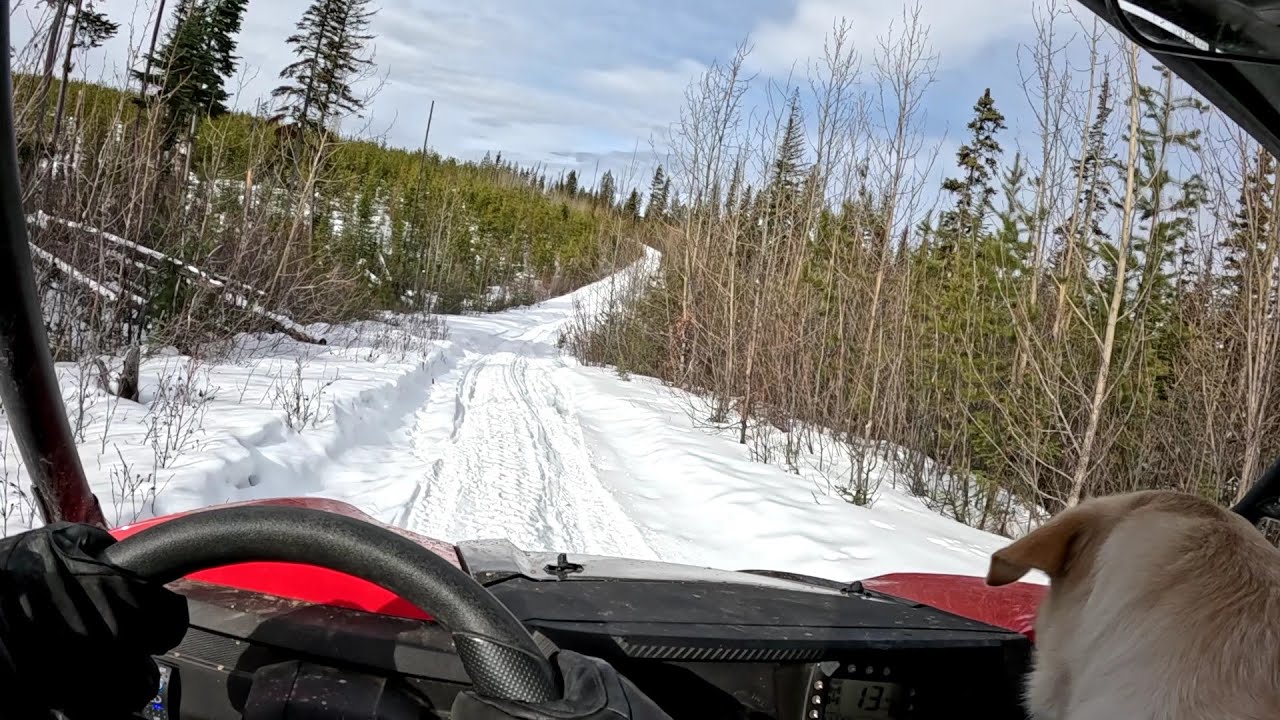Snow Run ! ! - YouTube