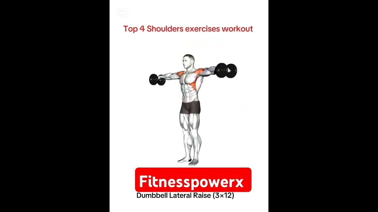 Dumbbell Shoulder Press – For Bigger, Stronger Shoulders #usafitness #musclebuilding - YouTube