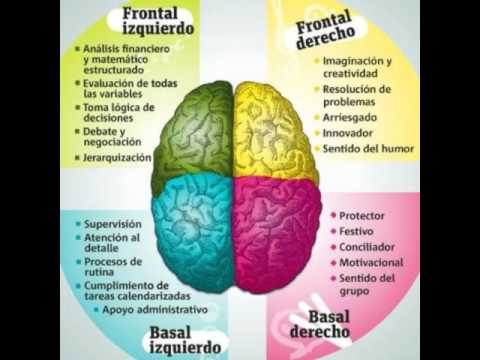 Modelo de Herrmann - YouTube