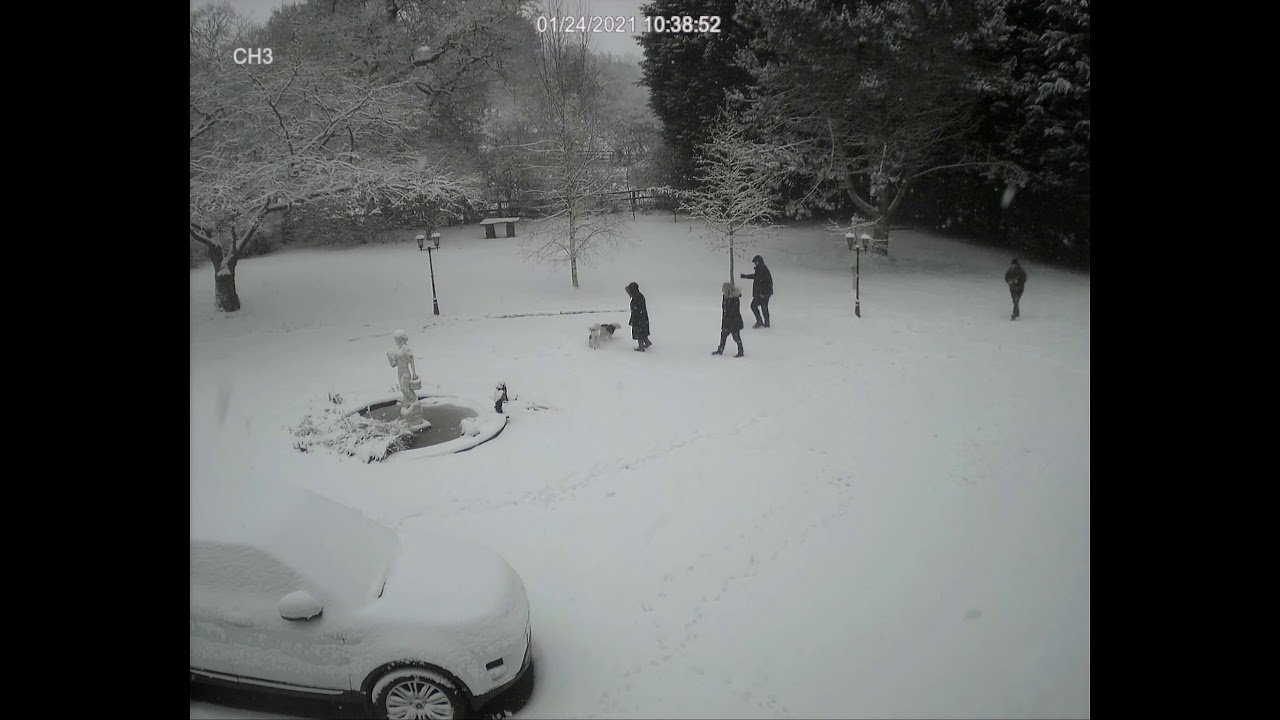 Benji and Max playing in the snow - YouTube