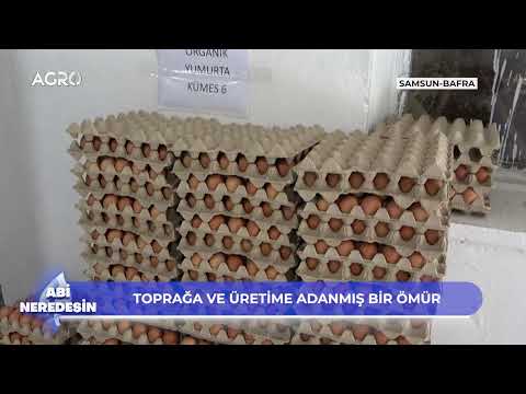 Toprağa ve Üretime Adanmış Bir Hayat! / Abi Nerdesin?