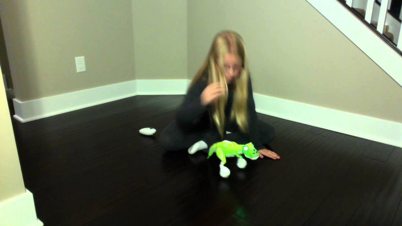 Zoomer Dino: A Kid Tutorial on How to Tame Your Dino - YouTube