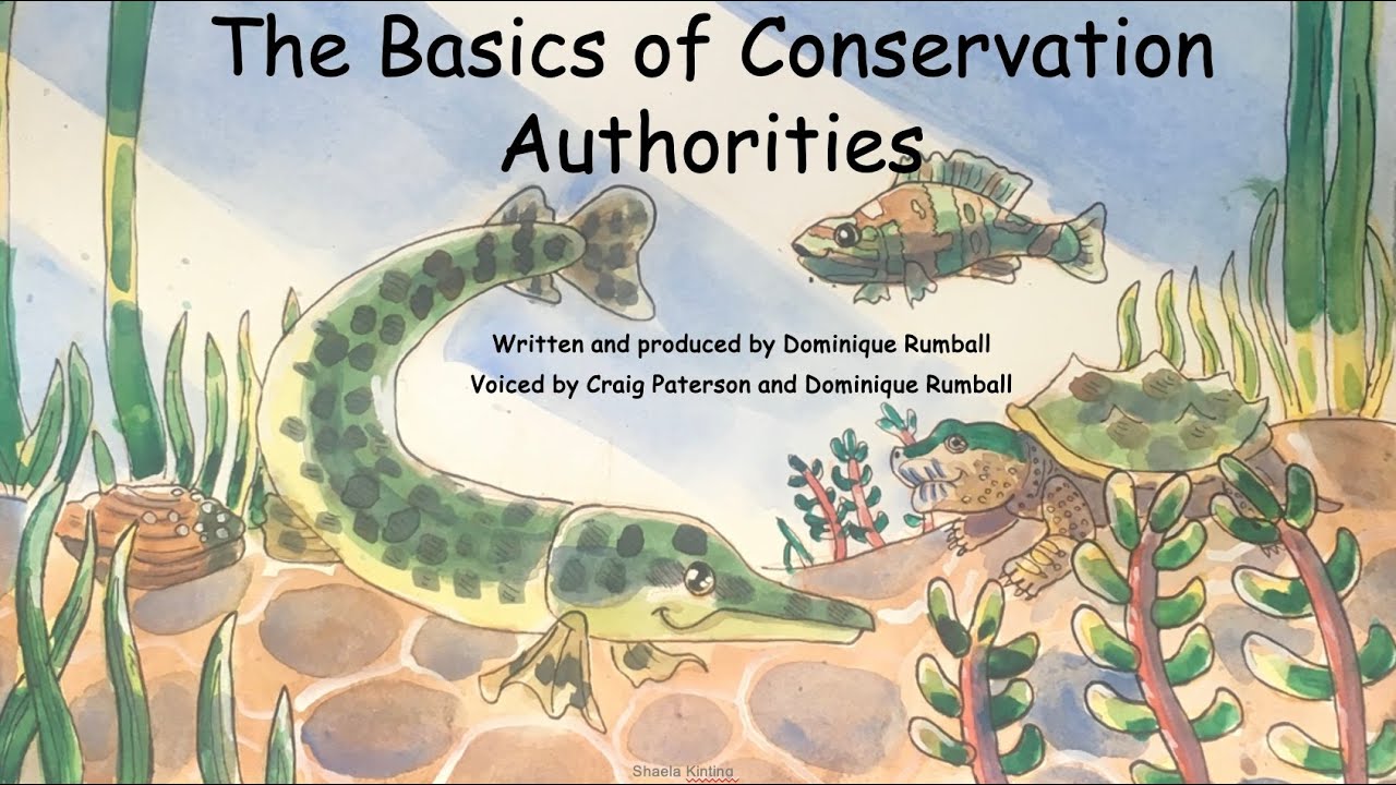 The Basics of Conservation Authorities - YouTube