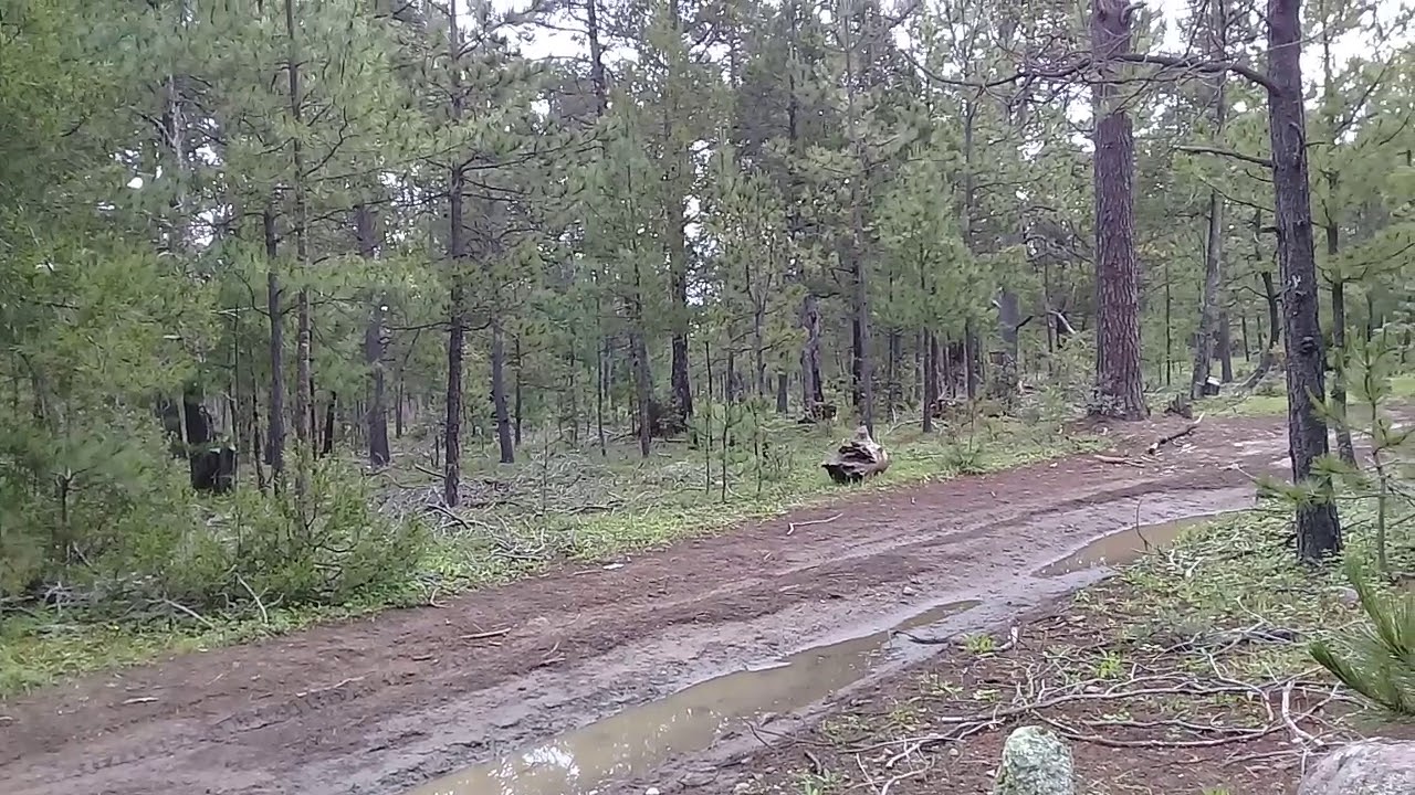 PAISAJE EL SALTO DURANGO - YouTube