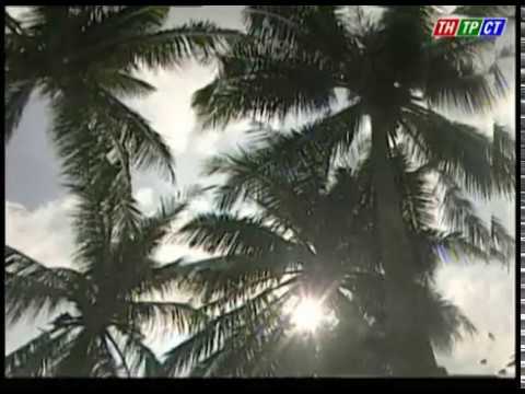 Phim tài liệu Lộ vòng cung_Phong Điền-Cần Thơ