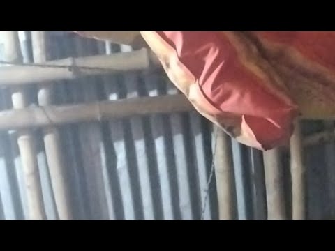 Rajkumar Das is live! - YouTube