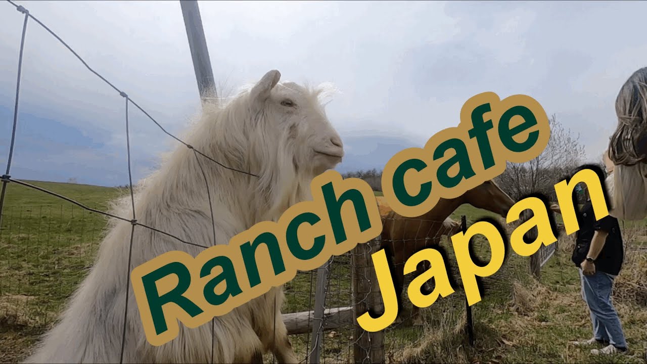 Ranch cafe【Tokachi Sinmura Farm】 - YouTube