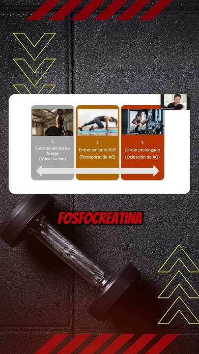 ¿Qué pasa cuando entrenas fuerza?💪😱 #WorkoutRoutine#GymLife2024#StrengthTraining#FitLife # ...