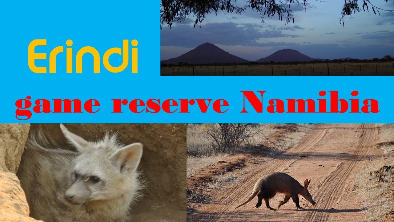 Erindi game reserve - scarce sightings explored - YouTube