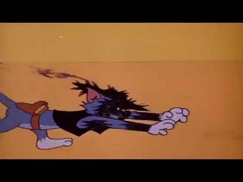 ทอม แอน เจอรี่ tall in the trap ภาค3