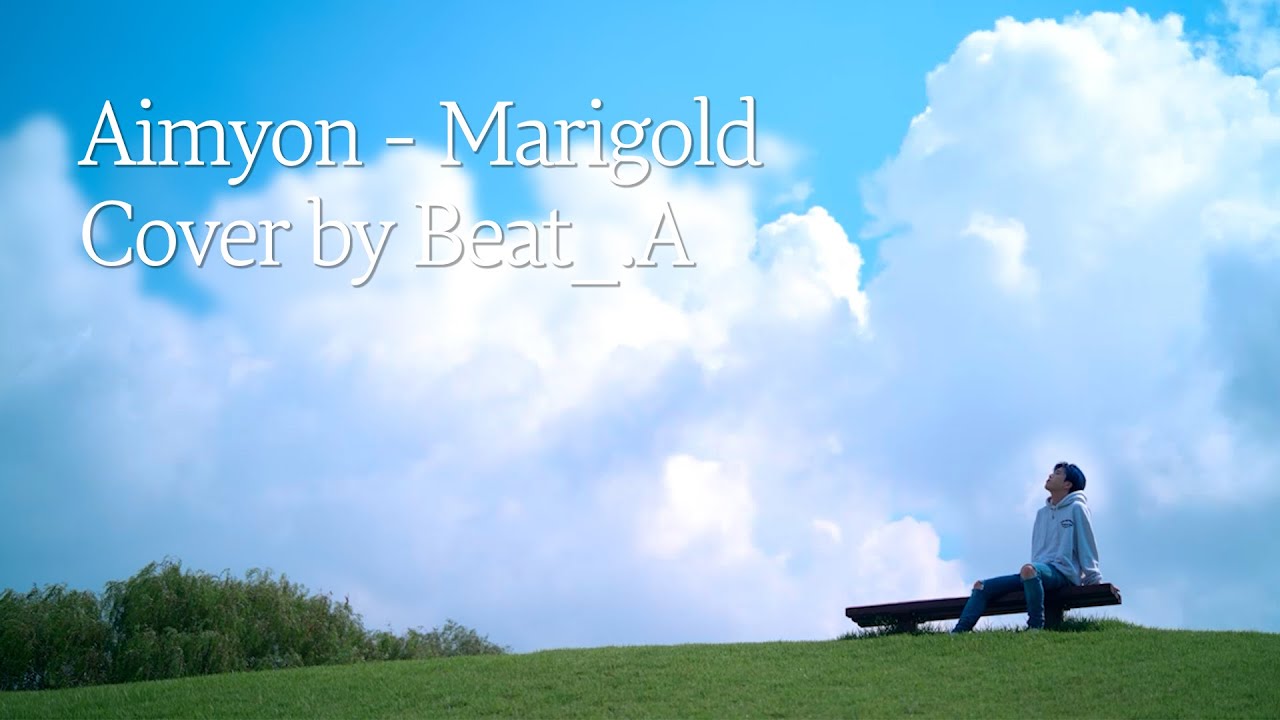Marigold(원곡 : Aimyon) - Beat_.A cover - YouTube