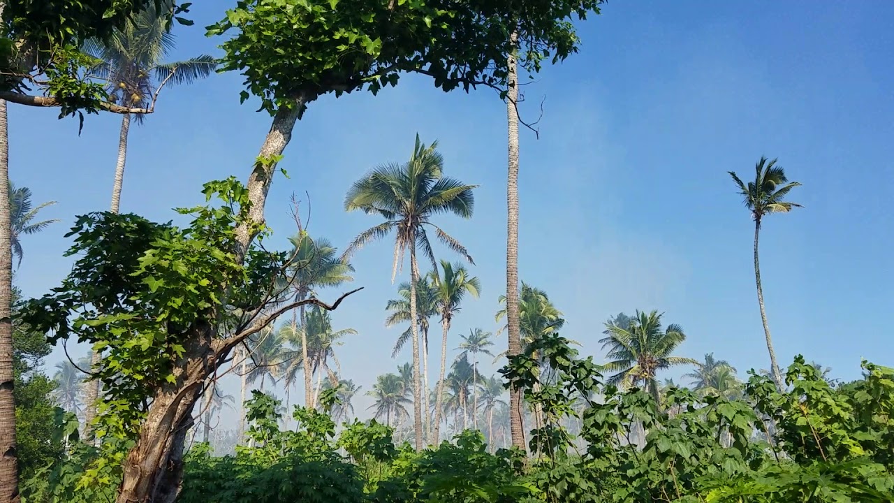 Tonga Climate Change 2018 vs Global Warming - YouTube