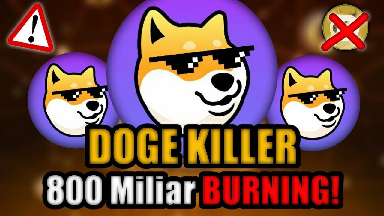 DOGE CHAIN Pembunuh DOGE COIN? 800 Miliar Token $DC Akan di Bakar ...