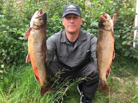 Trophy Brook Trout and Overnight Camping Trip - YouTube