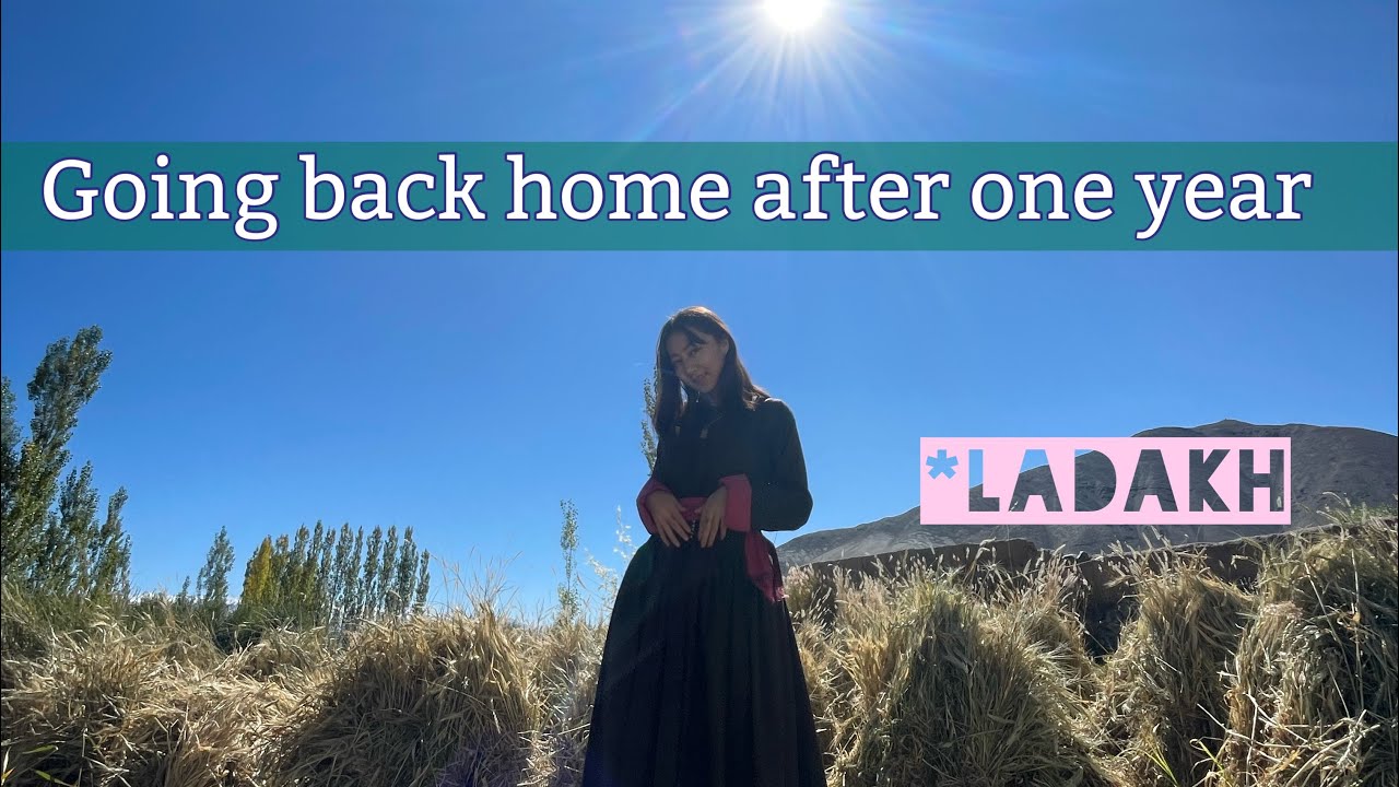 going back to ladakh/ladakhi amaly farm/family gathering #travelvlog # ...