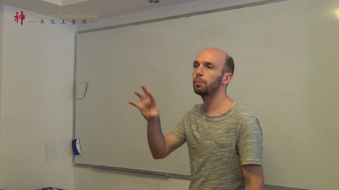 Course - Date Selection (ZeRi) in chinese metaphysics - PART 2 - YouTube