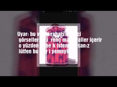 Dünya iğrençlik Oskar adayı volpina kolyesi yapımı