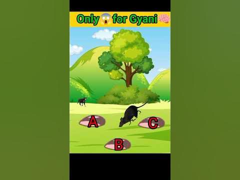 😲 |🐭rat Focus Test #focustest #shorts viral - YouTube