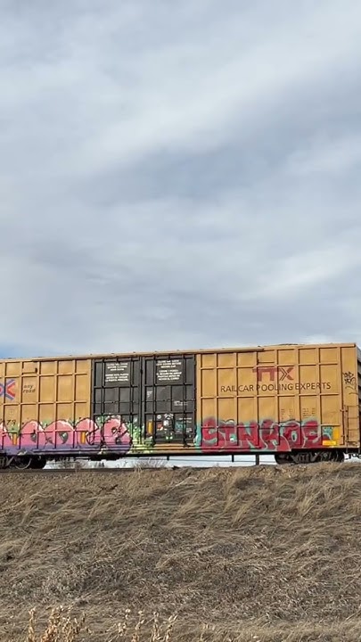 UP #2763 Manifest with NS and MID DPUS - YouTube