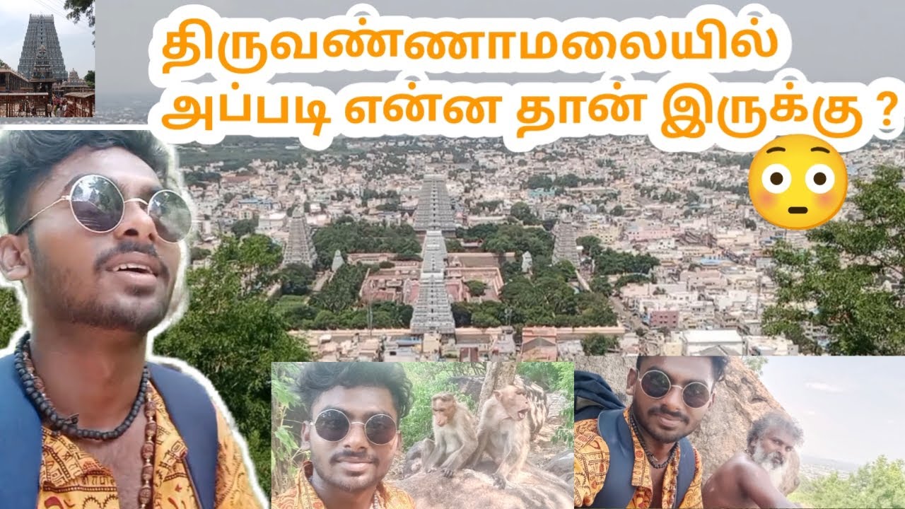 திருவண்ணாமலை |Temble top view | Little Bird 🕊️ - YouTube