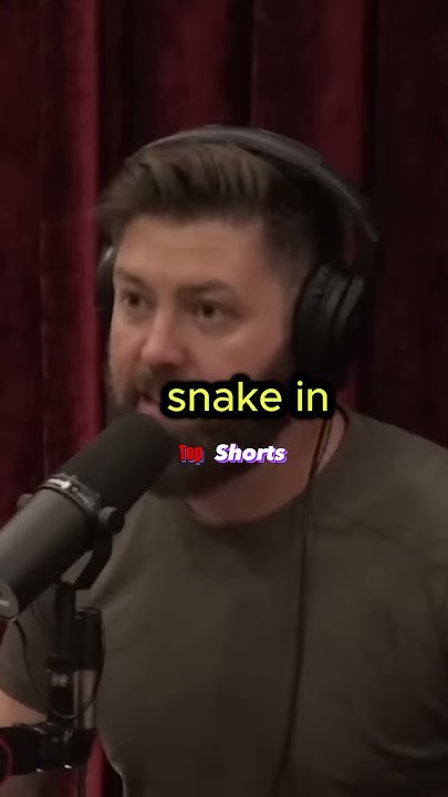 Joe Rogan talks about the Biggest snake ever... - YouTube