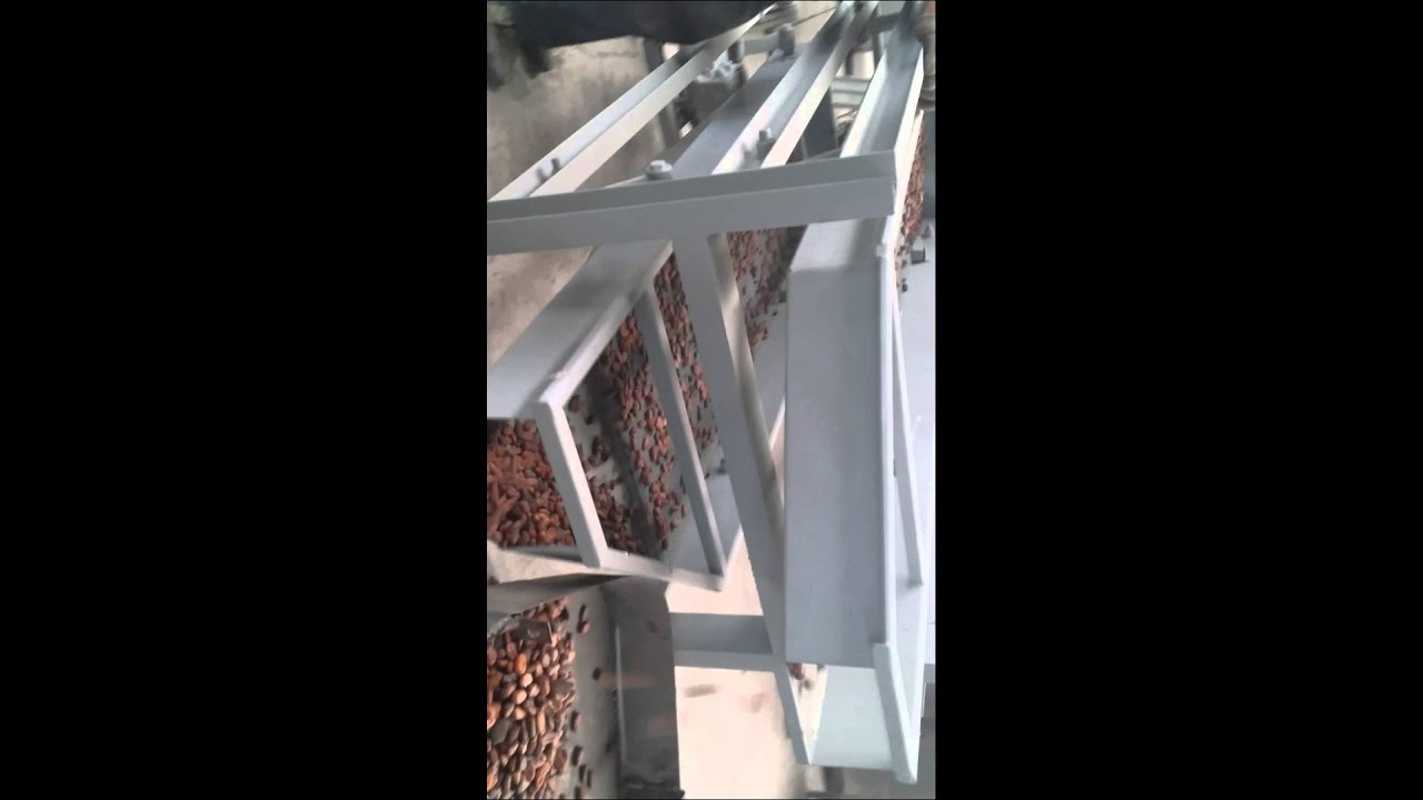 Small Scale Equipment Cocoa Bean Sorting Sorter Grading Machine - YouTube
