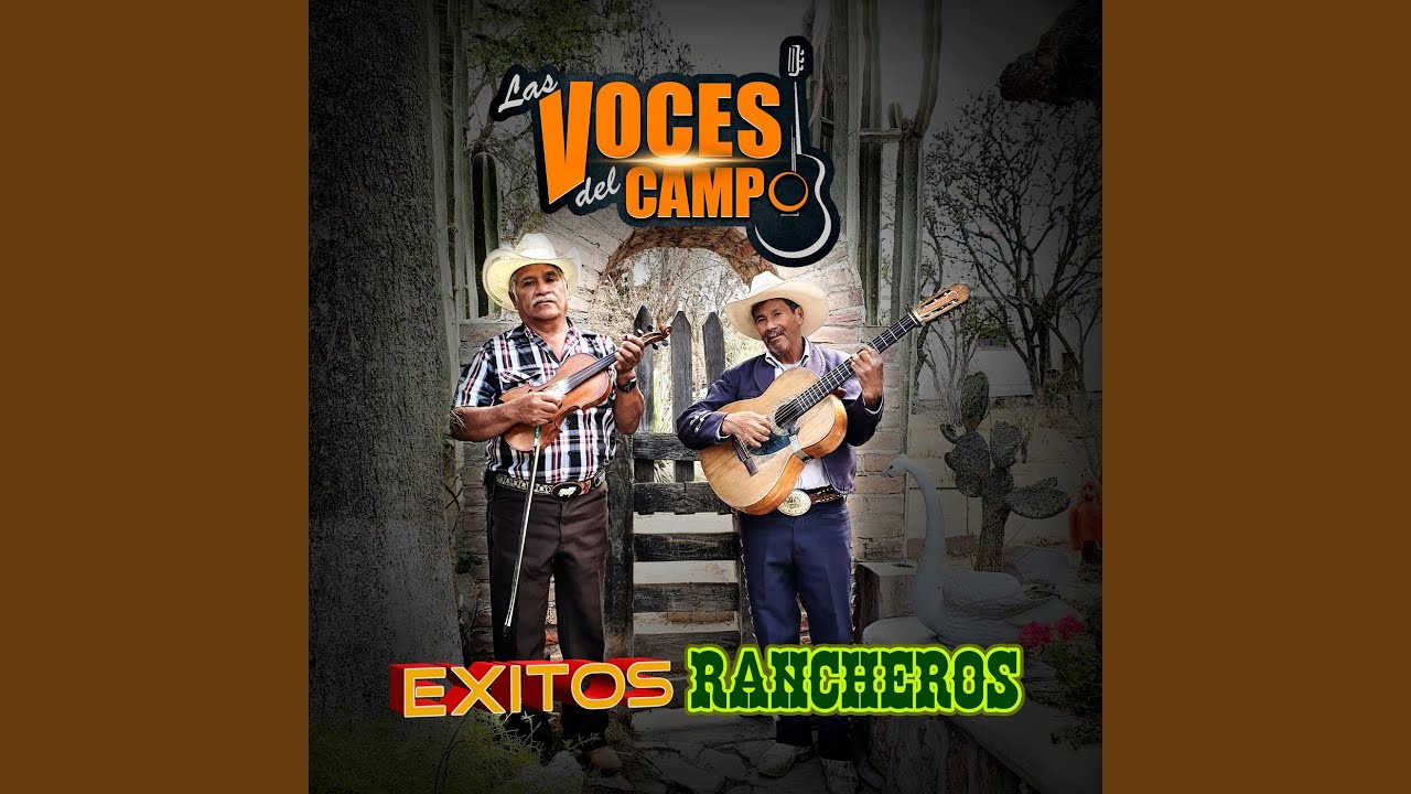 Cuatro Milpas (En Vivo) - YouTube