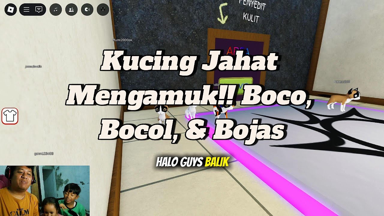 Kucing Jahat Mengamuk!! Boco, Bocol, & Bojas Hancurin Rumah Majikan di ...