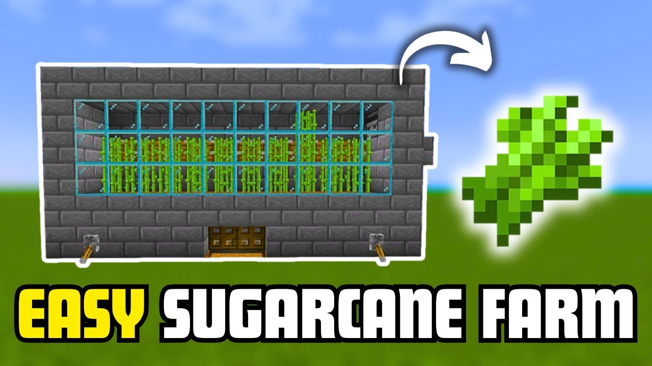 BEST Automatic Sugarcane Farm in Minecraft 1.21 | Ap2earcraft - YouTube