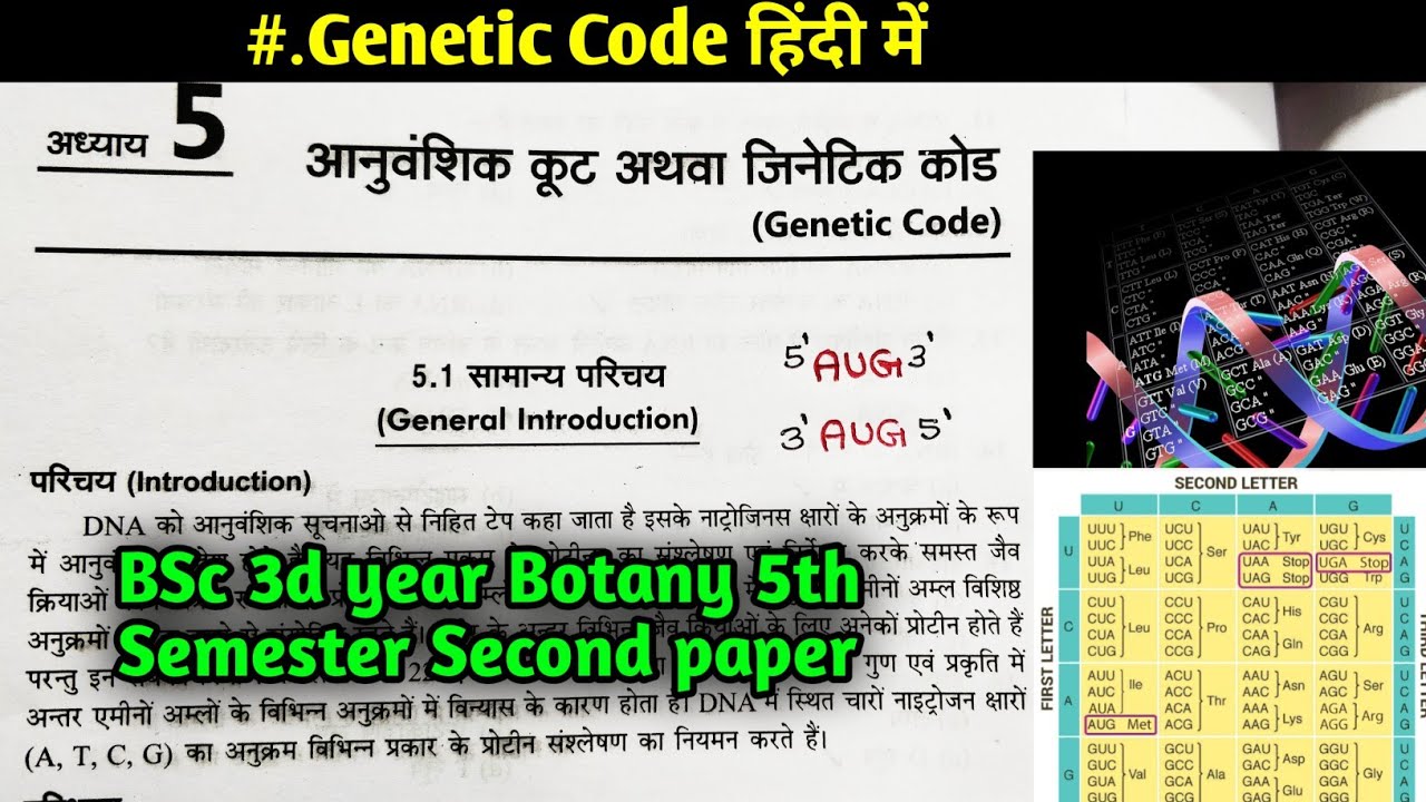 Genetic Code in Hindi || BSc 3rd year Botany 5th Sem 2nd Paper ...