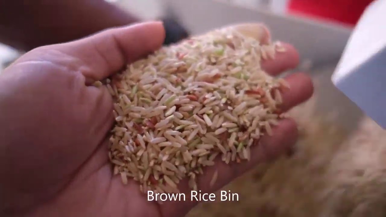 YotTsuHa Modern Compact Multipass Rice Mill Installed in Bato Leyte ...