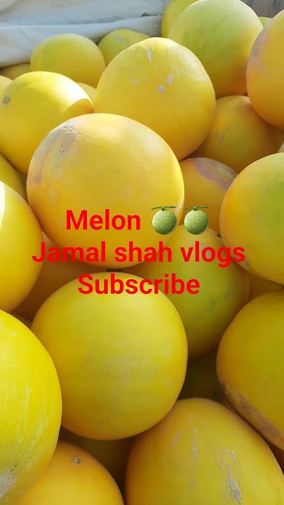 Melon in Saudi Arabia||jamal shah vlogs||Jamal Shah|| #ytshorts #farming#melon#watermelon# ...
