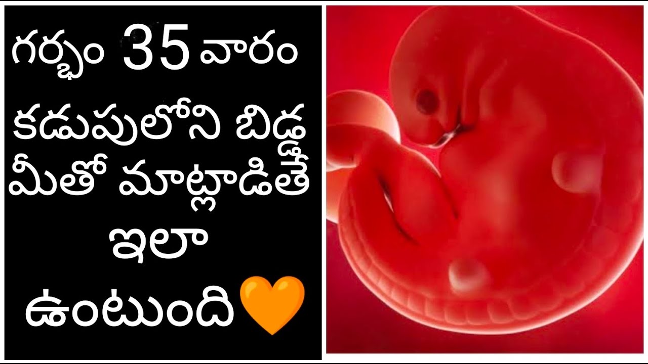 Pregnency 8th month 35th week video..words of your baby . - YouTube