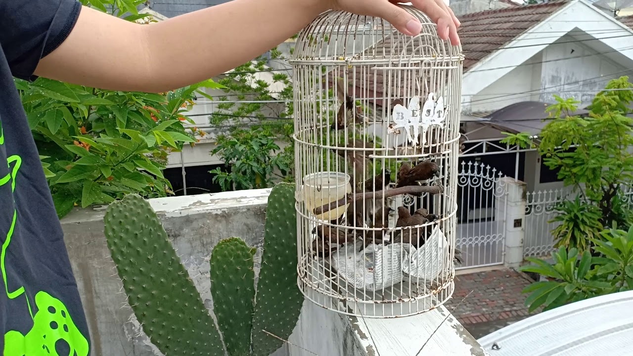 HBD Andy 18 tahun - YouTube