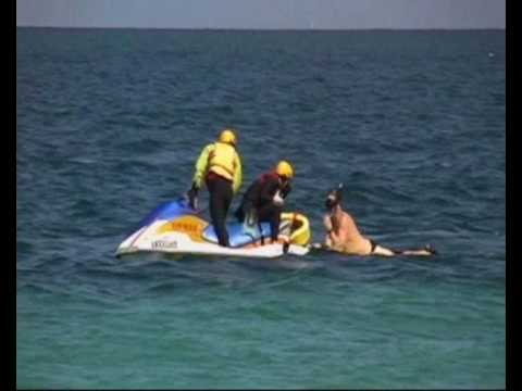 Australian Shark Attack part 1 by David Fullard - YouTube