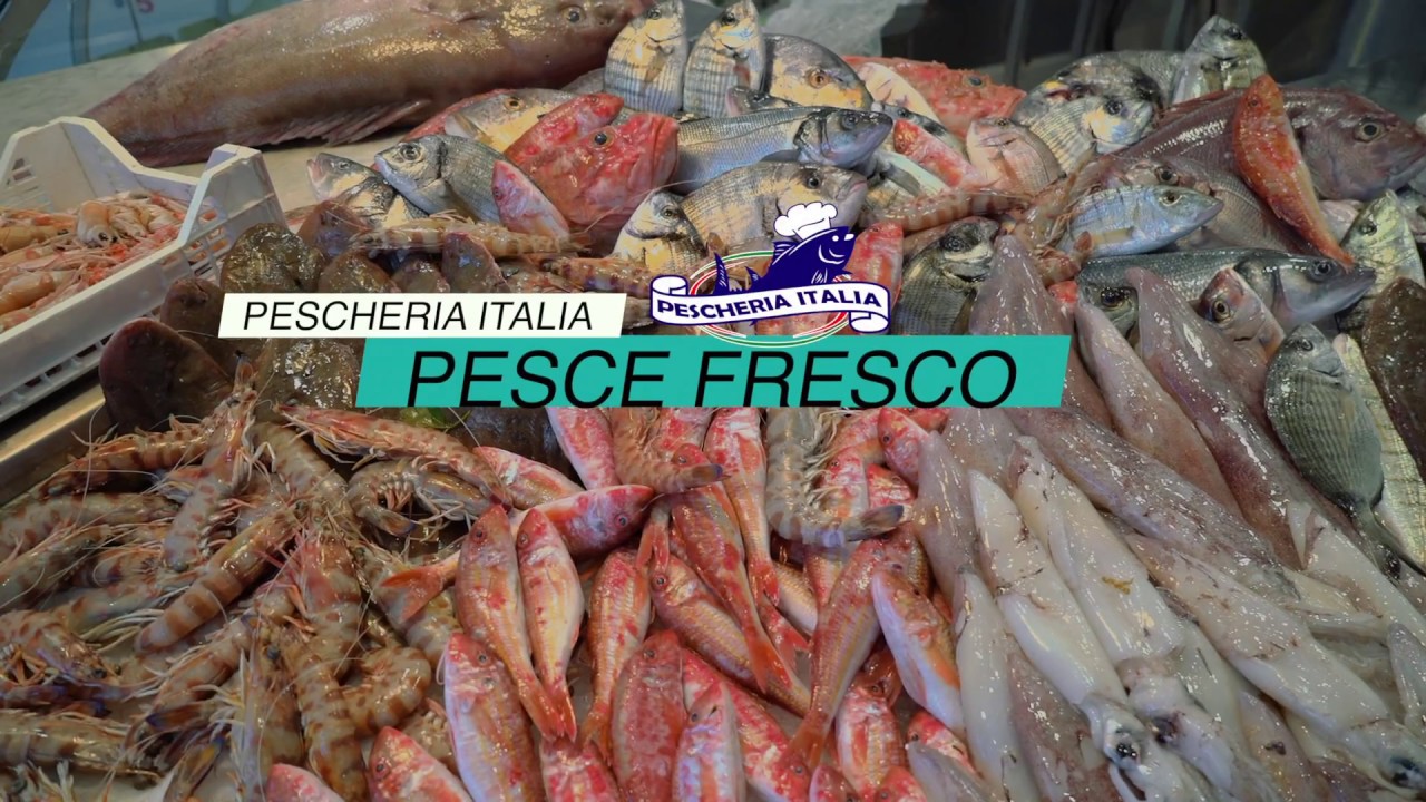 Spot Pescheria Italia - Catania - YouTube