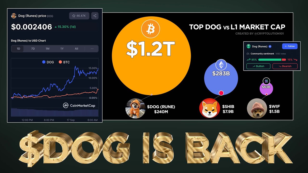$DOG Pumps 15% in 24 hours (What's Happening?) - YouTube