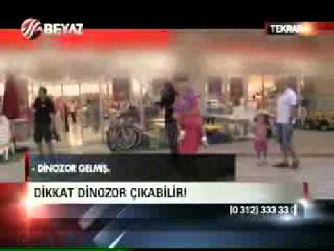 Dikkat Dinozor Çıkabilir!...
