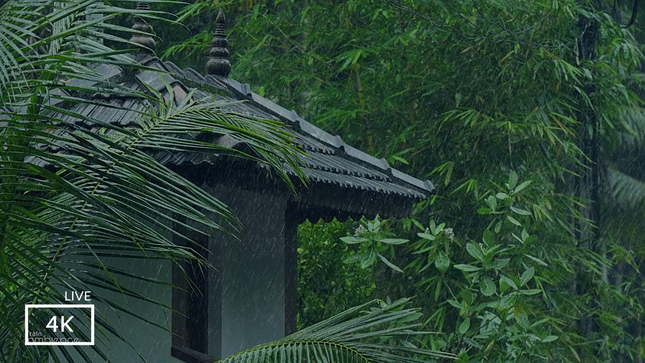 Relax and Sleep listening to ASMR Rain Sounds | Perfect White Noise for ...