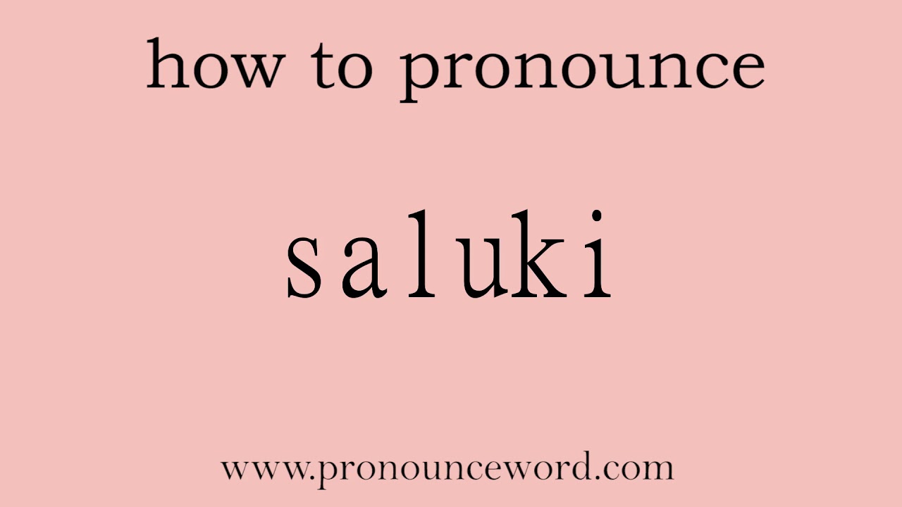 saluki. How to pronounce saluki in english (correct!). Start with S ...