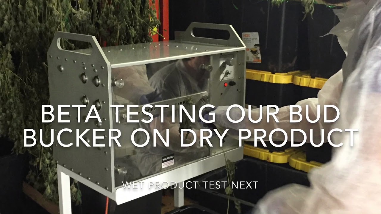 Beta testing our new Bud Bucker - YouTube